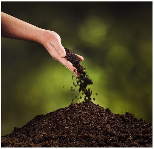 3 Way soil – TTSoils